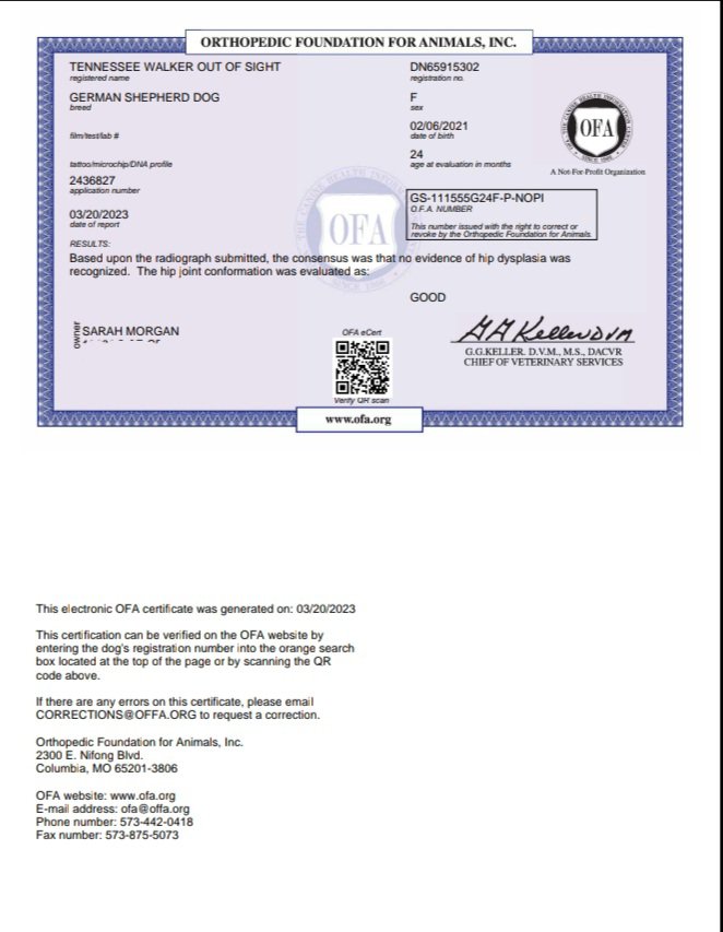 Yippee!!! See See is OFA certified Good Hips and normal elbows ...